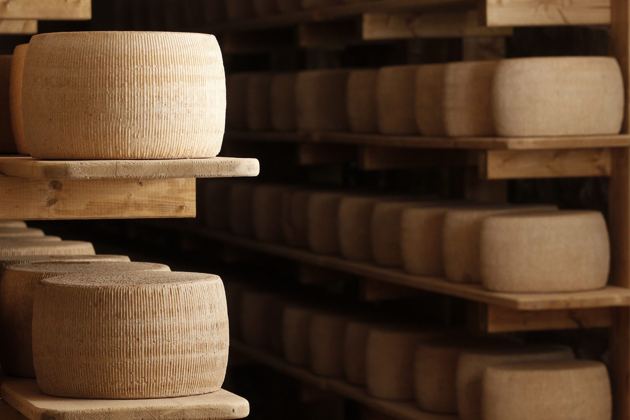 Muffa e formaggio: quando è un piacere e quando è un problema?