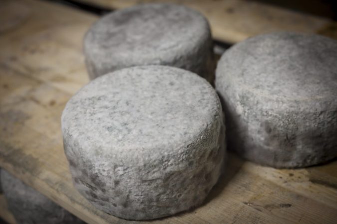 Muffa e formaggio: quando è un piacere e quando è un problema?
